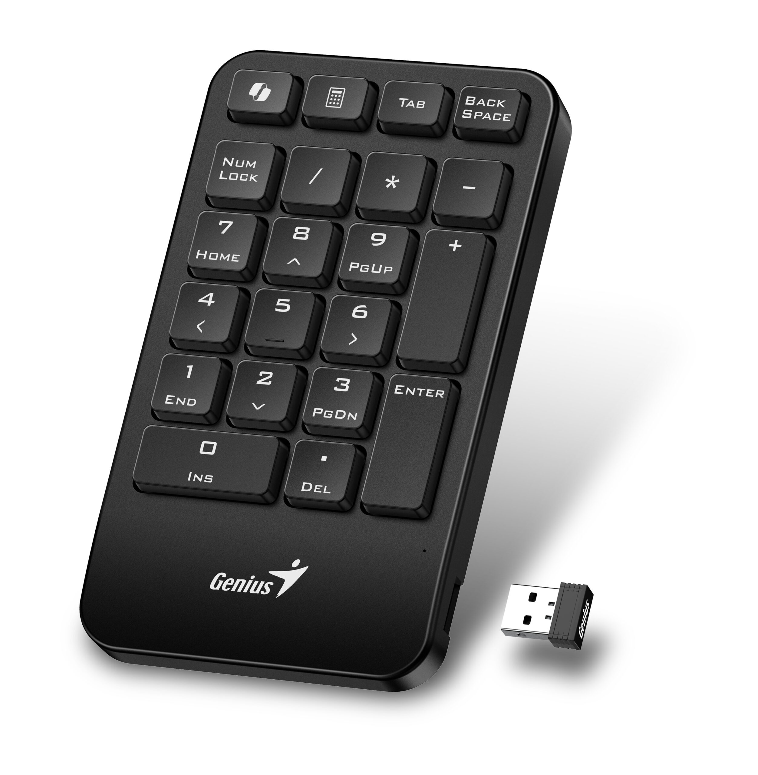 Genius Keyboard Numeric Pad Wireless AI w/Palm Rest NumPad 1000 - nxt ...